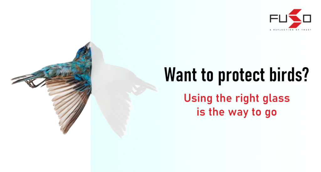 “A bird crashed my window, what happened next