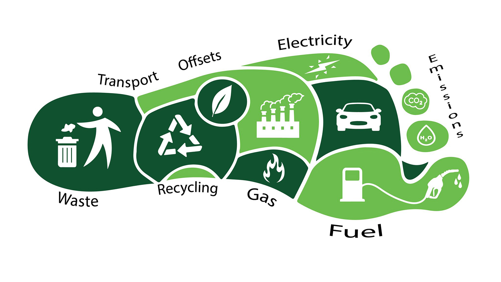 The right glass can help you reduce your carbon footprint. Here’s how!